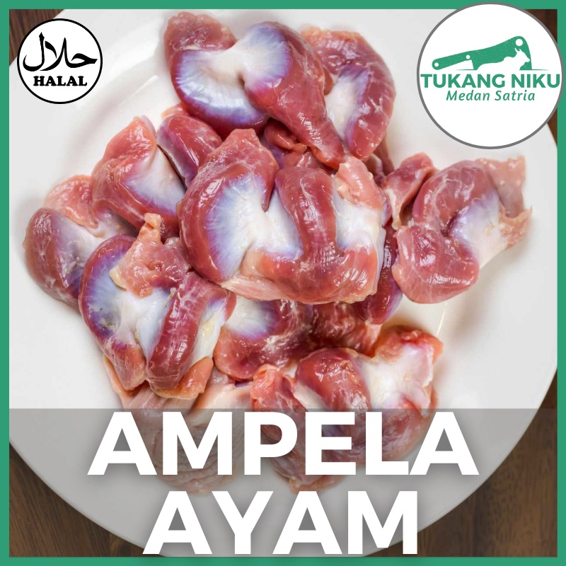 Jual AMPELA AYAM BERSIH - HALAL DAGING SEGAR FROZEN FRESH BEKU POTONG ...