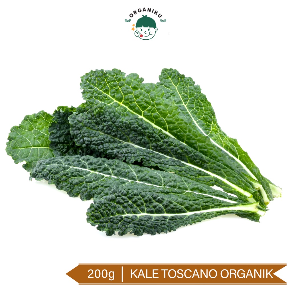 Jual Kale Toscano Organik 200g | Shopee Indonesia