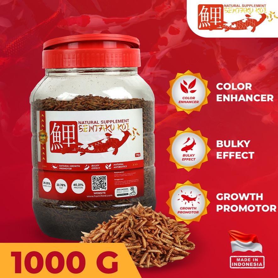Jual SENTAKU RED MAGGOT 1 KG MAGOT PAKAN MAKANAN IKAN ARWANA KOI ...