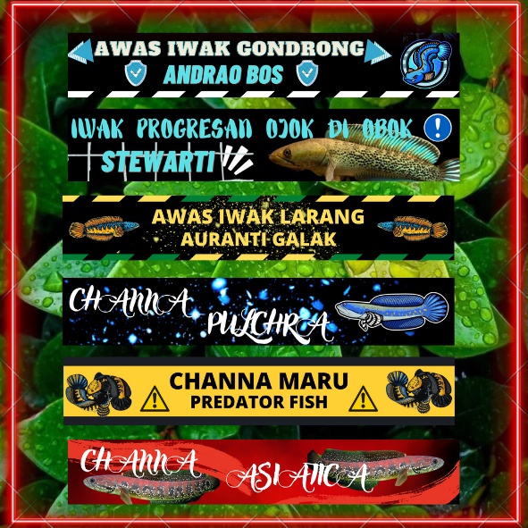 Jual Stiker ikan channa size 30x5 cm | Shopee Indonesia