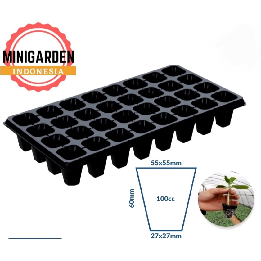 Jual TRAY SEMAI POT TRAY 50 LUBANG Traypot Bibit Biji Nampan Benih ...