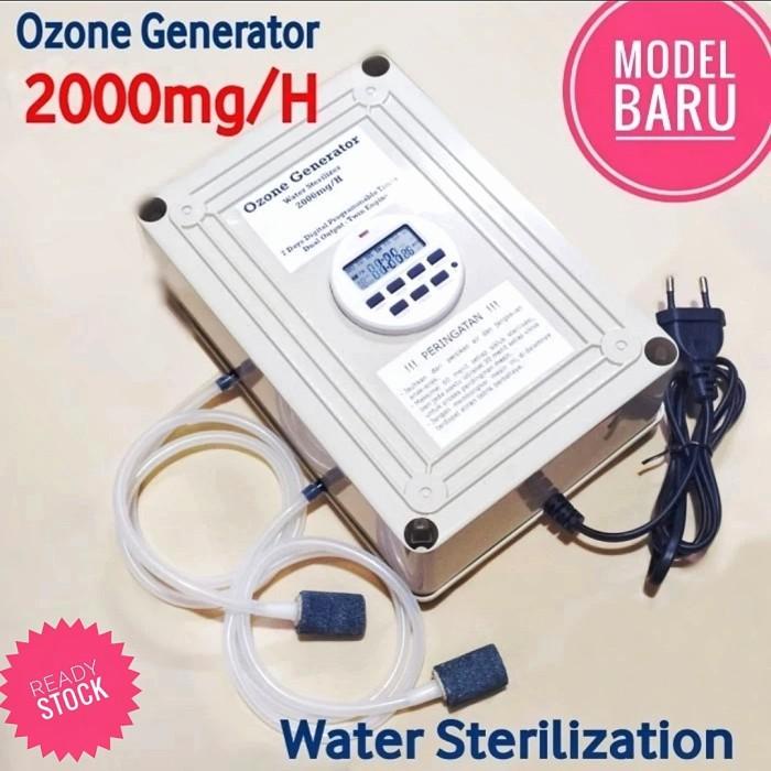 Jual Ozone Generator 220v 2000mg Water Ozonizer Germicidal Sterilizer | Shopee Indonesia