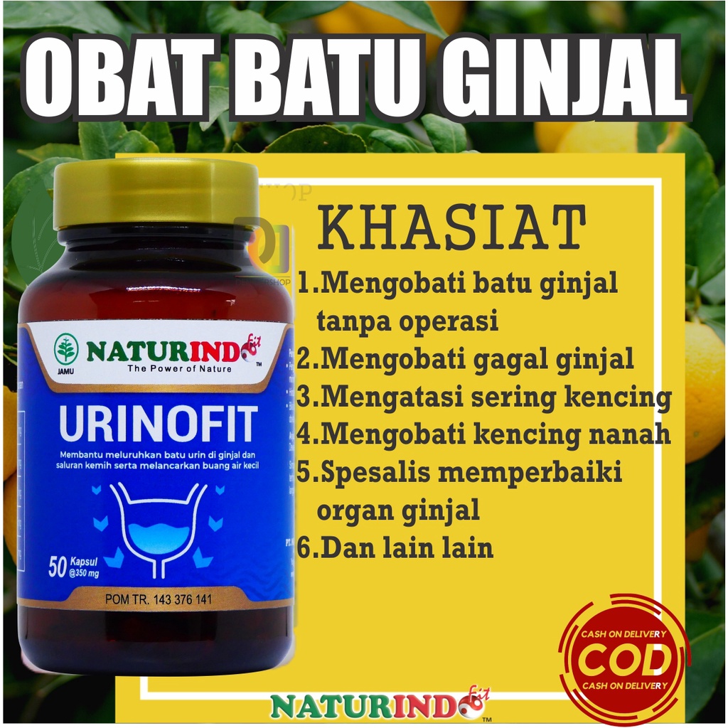 Jual Obat herbal batu ginjal penghancur batu ginjal sering kencing gagal ginjal urinofit ...