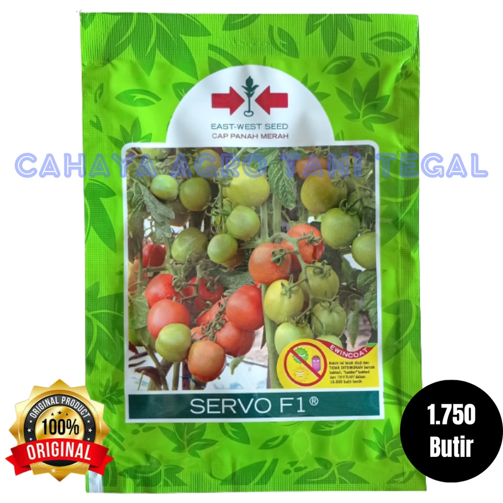 Jual Cap Panah Merah - Benih Tomat Servo F1 Isi 1750 Biji | Shopee ...