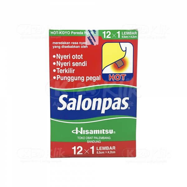 Jual Salonpas Koyo Merah Hot (1 Pcs Isi 12 Lembar) (per Pcs) | Shopee ...