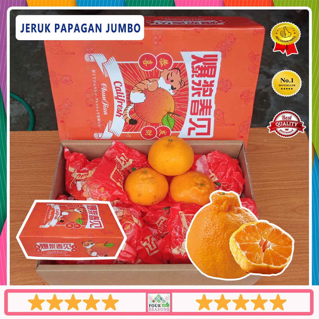 Jual [TERLARIS JUMBO] JERUK PAPAGAN MANIS BULIR BESAR KEMASAN 1 BOX ...