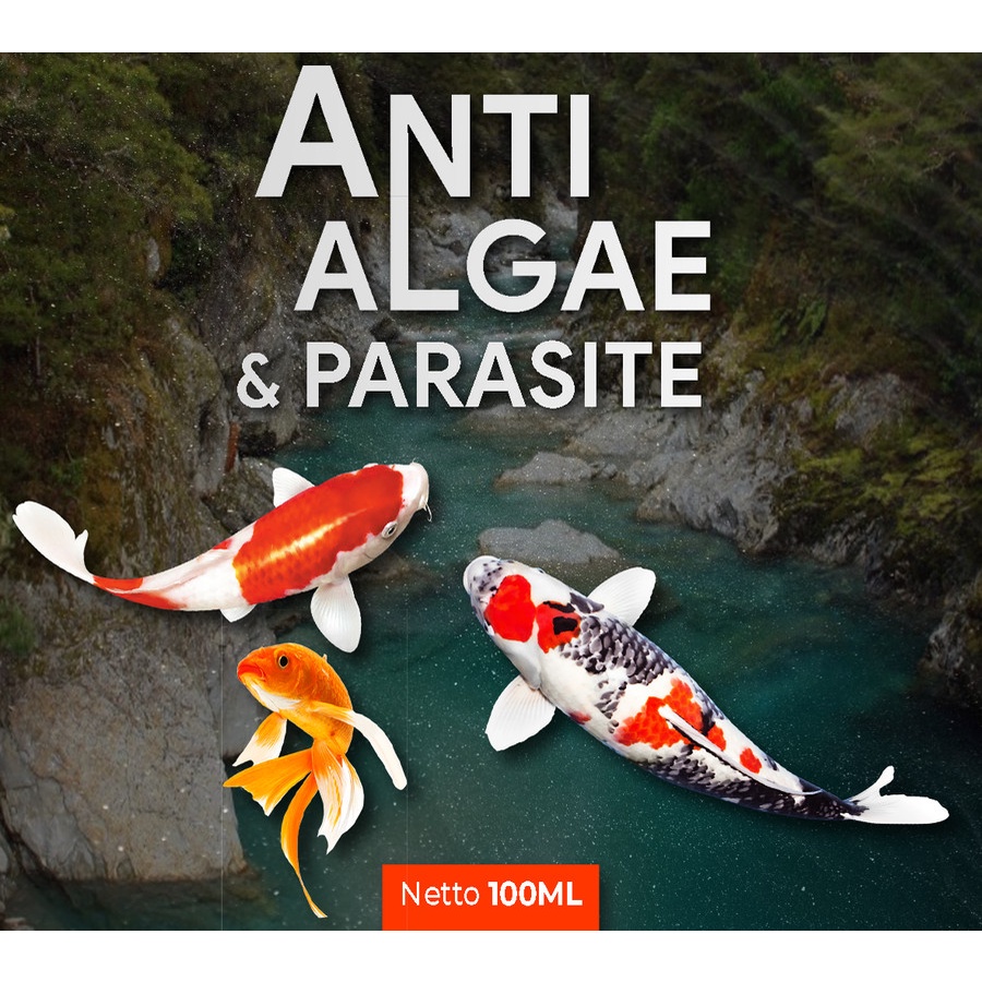 Jual Anti Algae dan Parasit Obat Lumut Alga Remover Kolam dan Aquarium ...