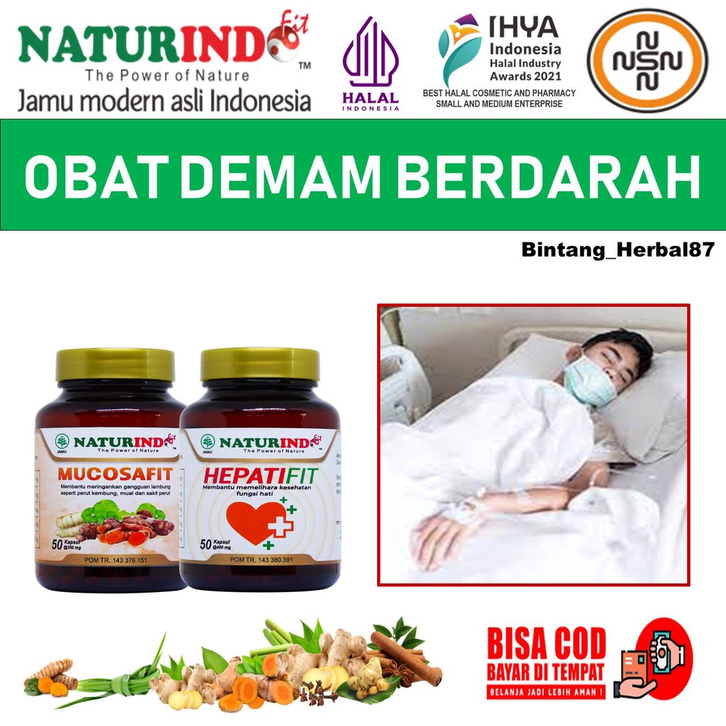 Jual Obat Demam Berdarah Malaria Chikungunya Tipes Hb Rendah Menggigil ...