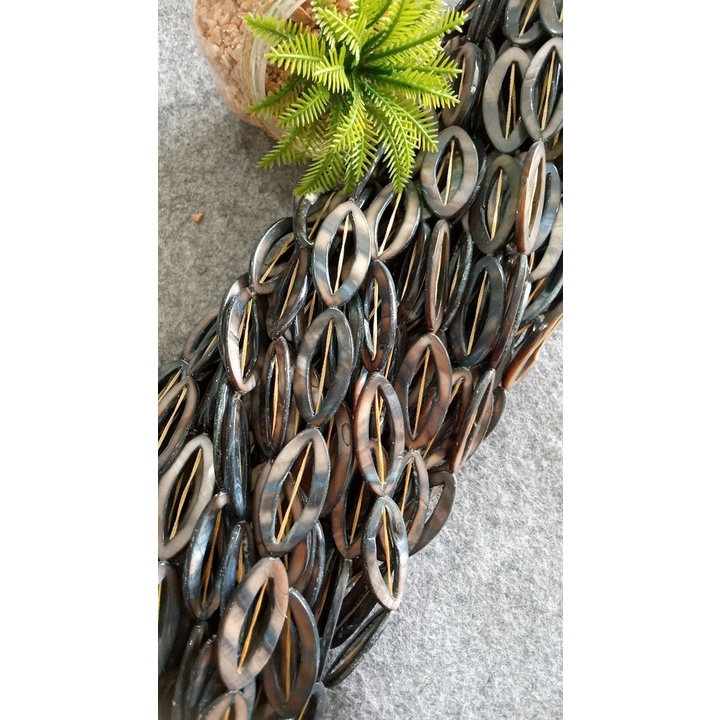 Jual KERANG PIPIH ELIPS 30*20MM | Shopee Indonesia