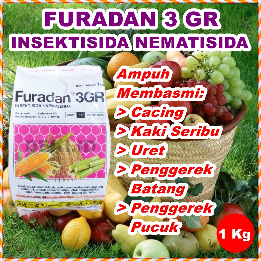 Jual Furadan 3GR 1 Kg Insektisida Nematisida Sistemik Pembasmi Hama ...