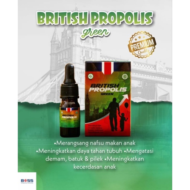 Jual Obat Flu Batu Demam Data Tahan Tubuh British Propolis Green Untuk ...