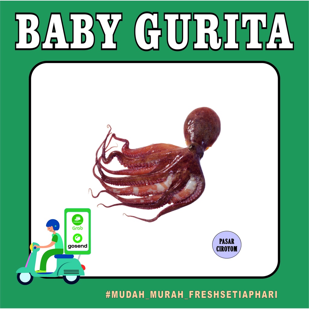 Jual octopus bandung Harga Terbaik & Termurah Oktober 2023 | Shopee ...