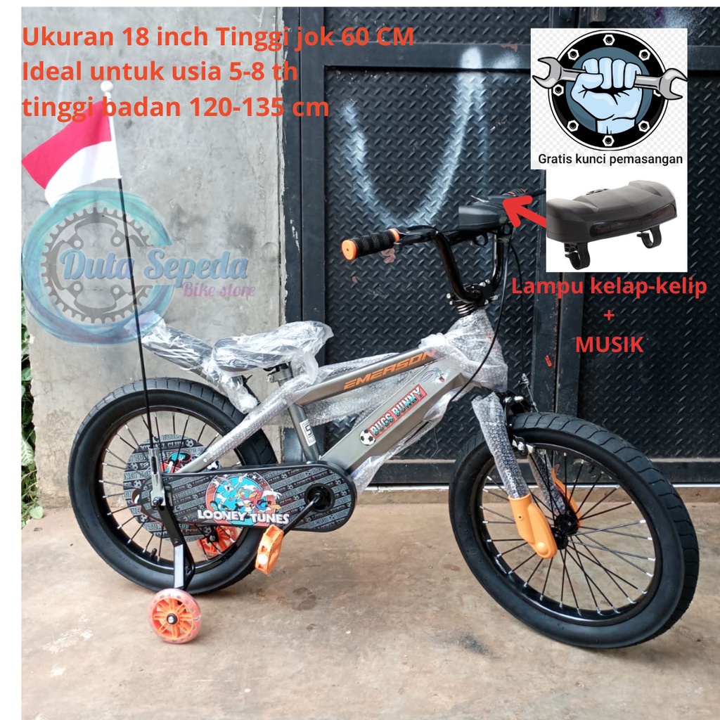 Jual sepeda anak laki laki 18 inch BMX ( 5 -8 th ) | Shopee Indonesia