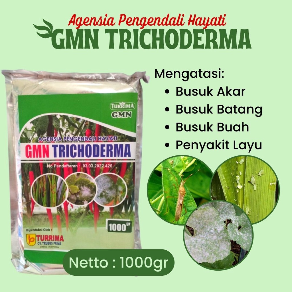 Jual Pupuk Hayati TRICHODERMA 1 KG, Pupuk Anti Layu Fusarium | Shopee ...