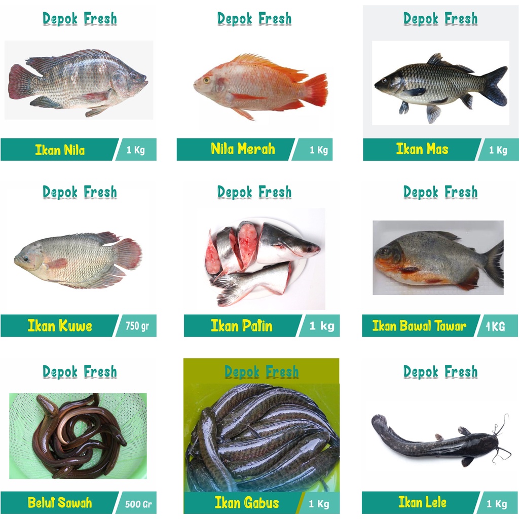 Jual Ikan Air Tawar Segar /Bawal / Belut / Gabus / Bandeng / Gurame ...