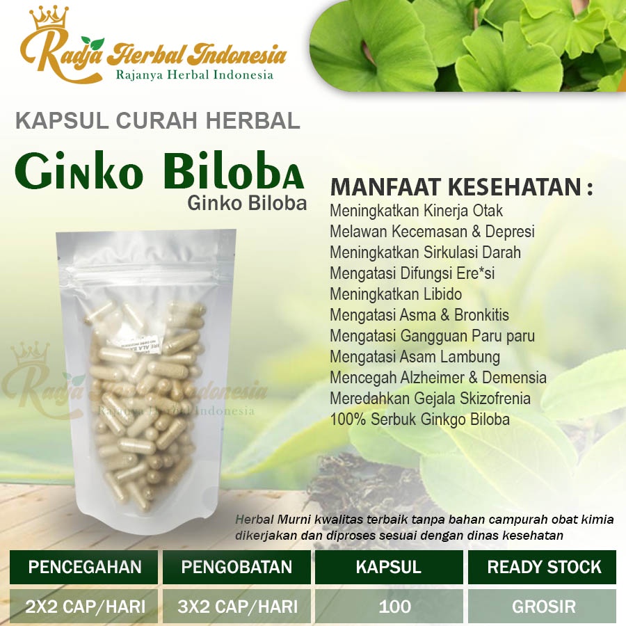 Jual GINKGO BILOBA 100 Kapsul Curah Herbal Anti Aging Kinerja Otak ...