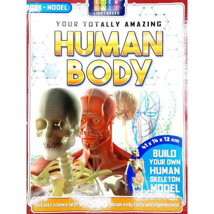 Jual SPACE - HUMAN BODY - EARTH - RIPLEYs - Buku STEM anak SD | Shopee ...