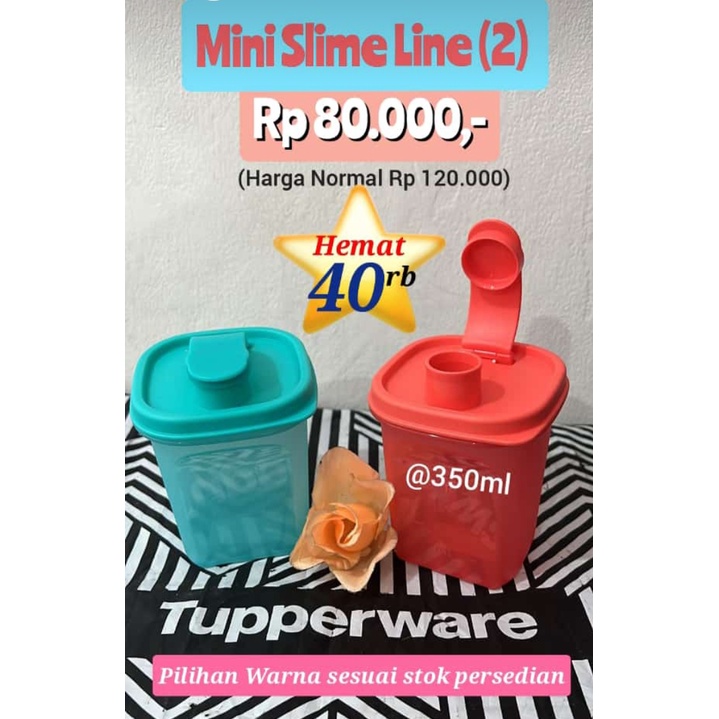 Jual TUPPERWARE MINI SLIM LINE 350ML (2) - BOTOL MINUM MINI | Shopee ...