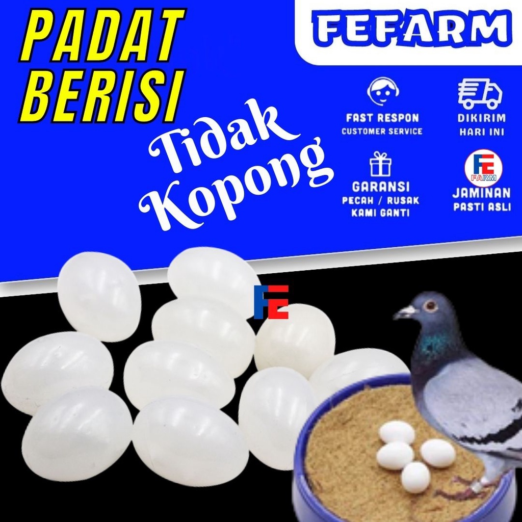 Jual Telur Dummy Replika Telor Merpati Warna Putih Bahan Plastik Tidak ...