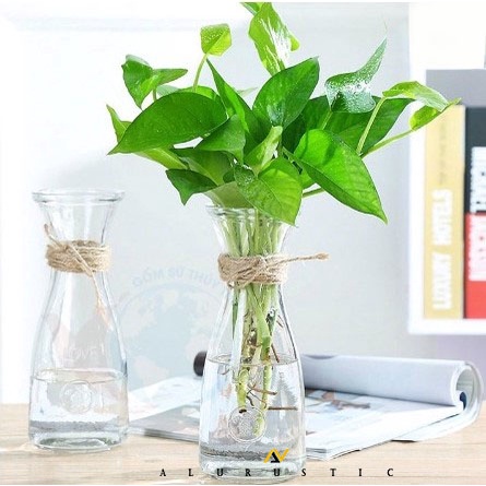 Jual VAS BUNGA KACA BENING TALI RAMI / VAS TANAMAN KACA BULAT | VAS ...