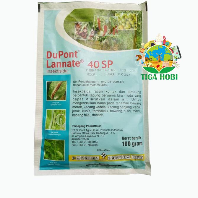 Jual DUPONT LANNATE BIRU 40SP 100GRAM insektisida obat pembasmi ulat ...