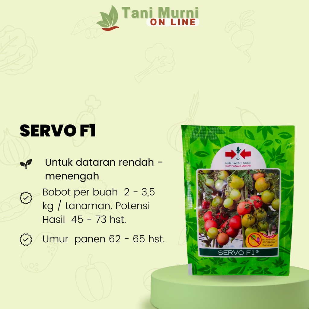 Jual Benih Tomat SERVO F1 Panah Merah 5 gr | Shopee Indonesia
