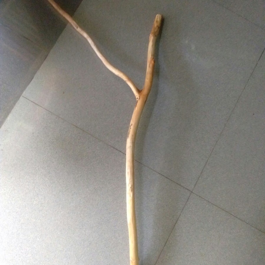 Jual Ranting kayu jati cabang 50 cm - ranting kayu macrame | Shopee ...