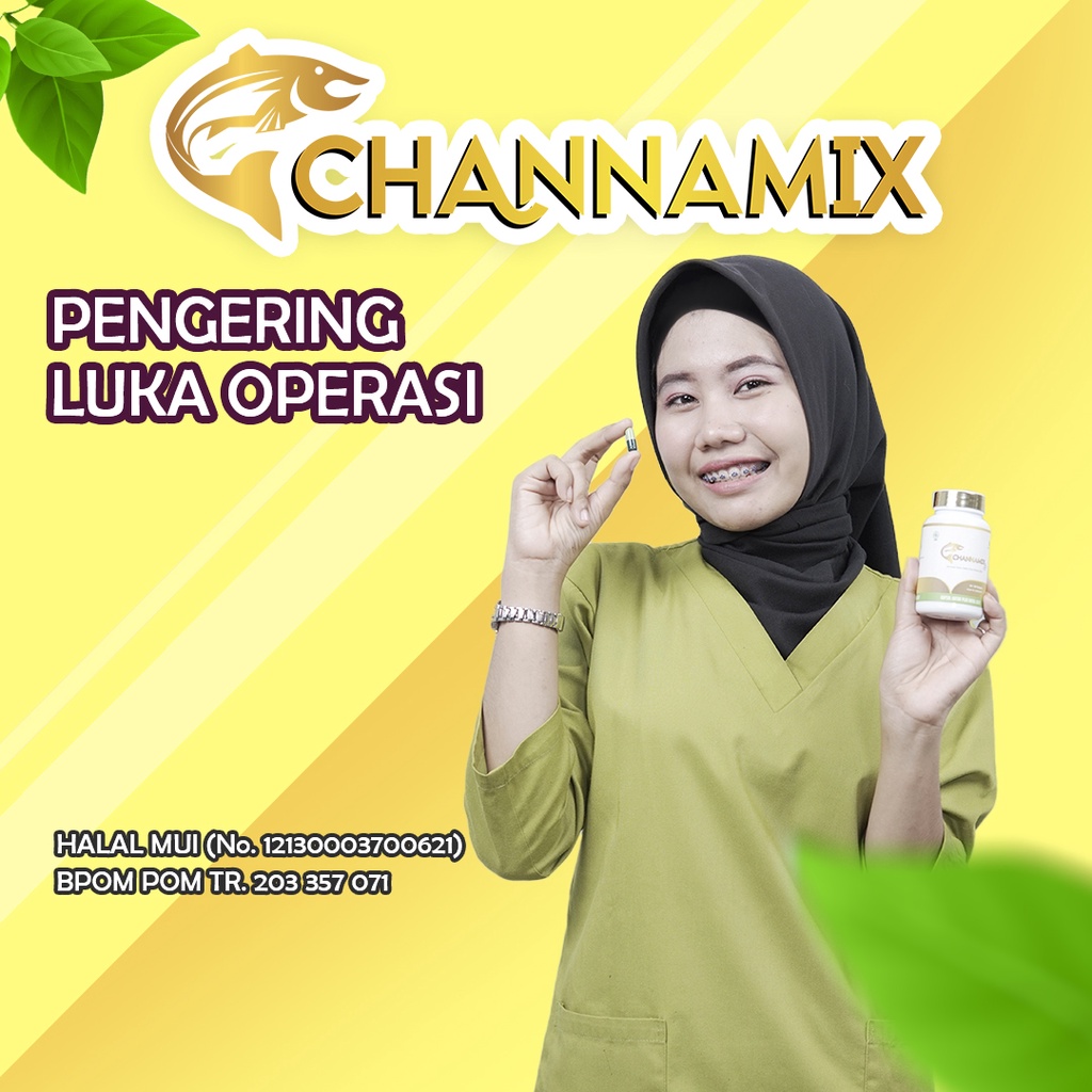 Jual Kapsul Channamix - Pengering luka Operasi - kapsul Ekstrak ikan ...