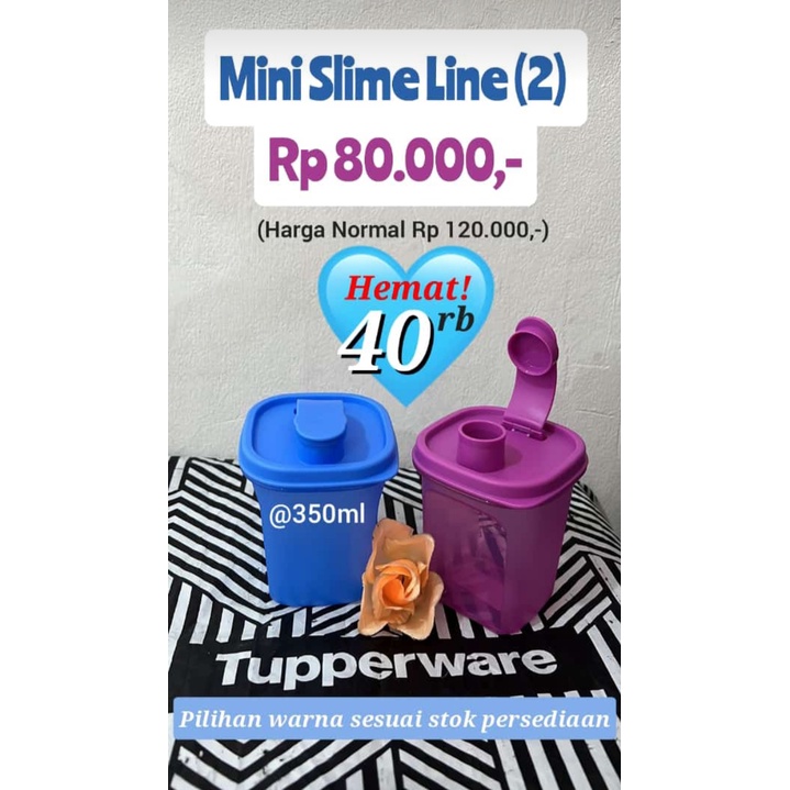Jual TUPPERWARE MINI SLIM LINE 350ML (2) - BOTOL MINUM MINI - BIRU UNGU ...