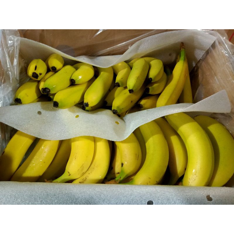 Jual Pisang Sunpride 1 dus | Shopee Indonesia