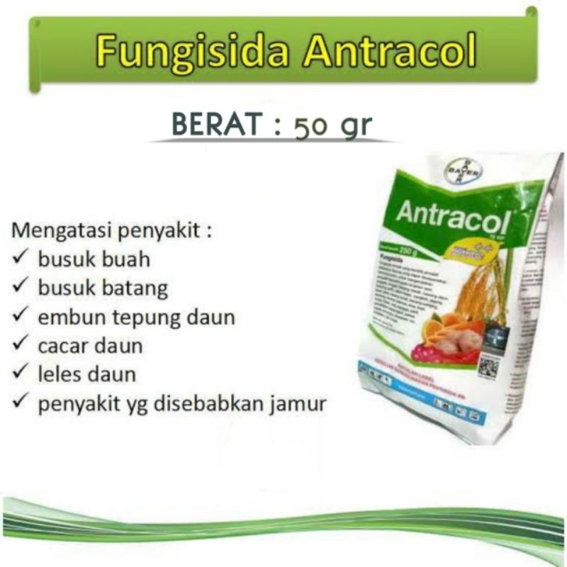 Jual Fungisida Antracol Obat Anti Jamur Pada Tanaman - Antracol ...