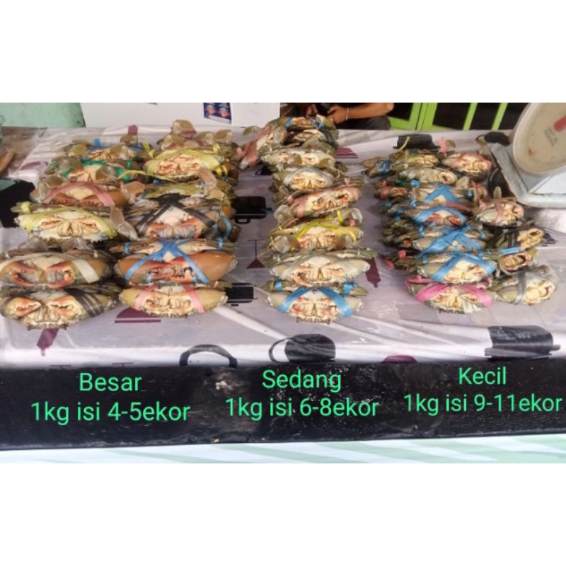 Jual Kepiting bakau segar hidup 1kg | Shopee Indonesia