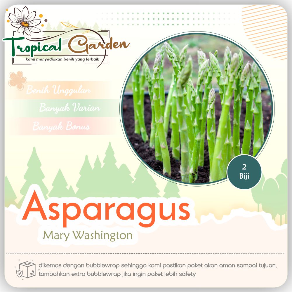 Jual Tropical Garden Benih Biji Asparagus Benih Sayuran Unggul COD ...
