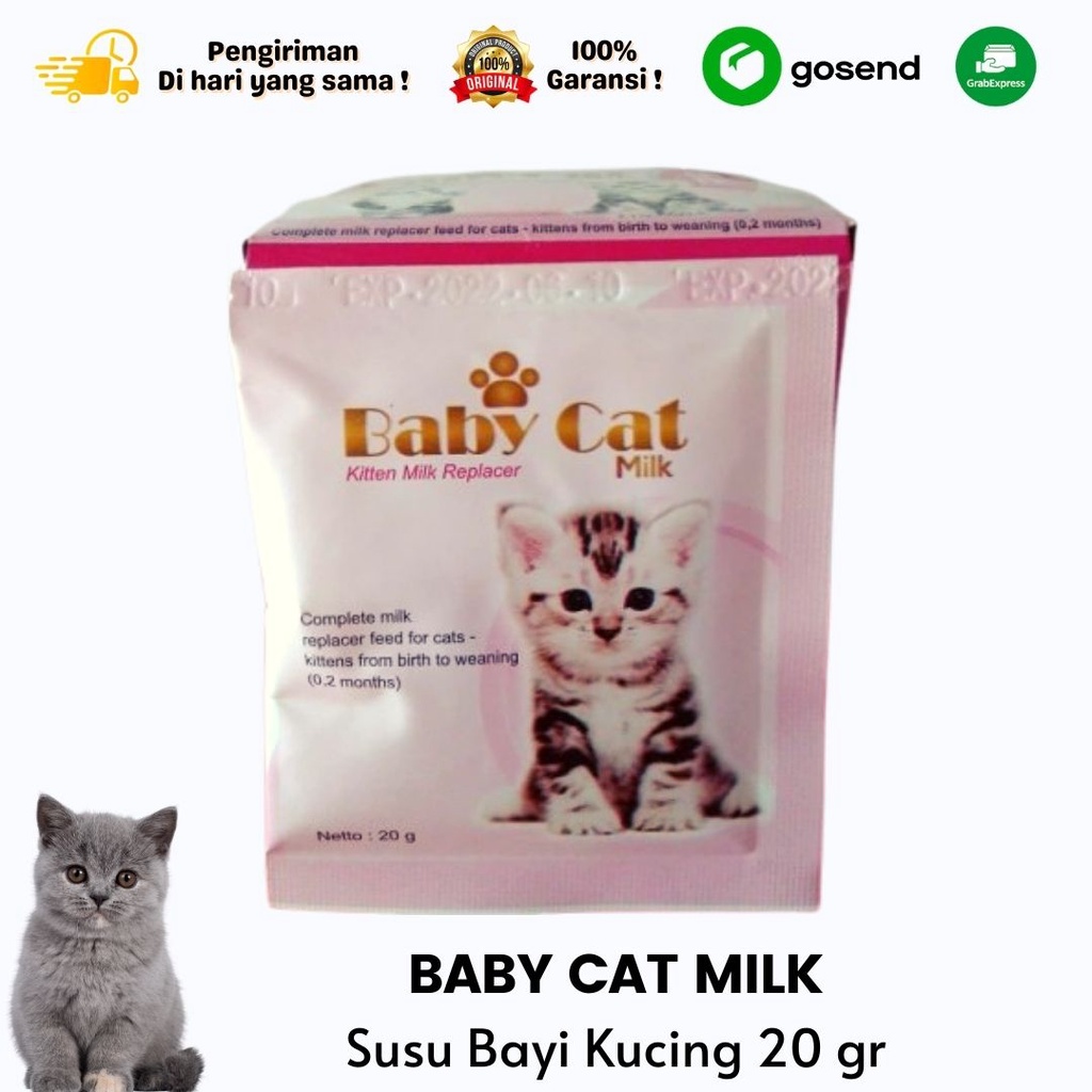 Jual BABY CAT MILK SUSU ANAK KUCING 20 GR | Shopee Indonesia