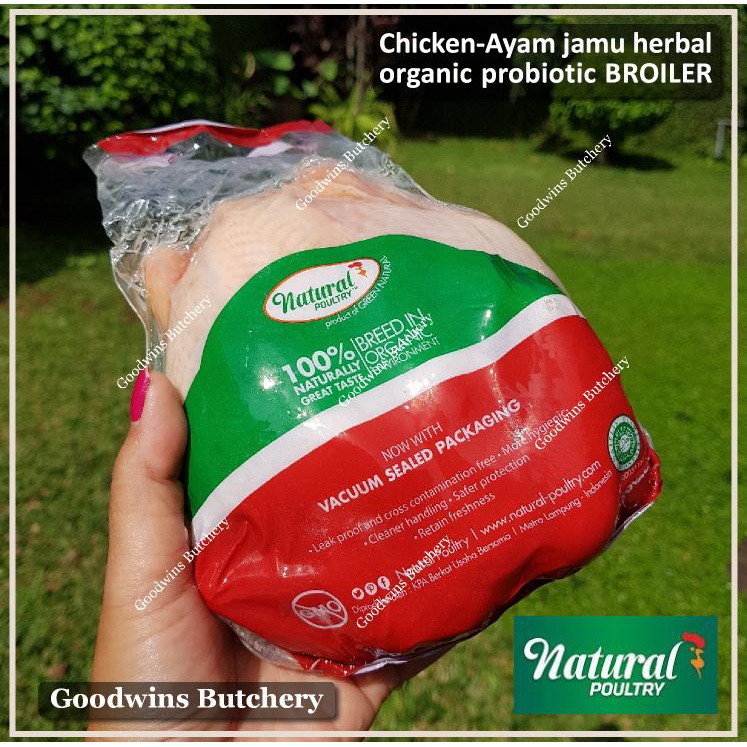 Jual Ayam PROBIOTIC chicken organic jamu herbal low-fat Natural Poultry BROILER +/- 900 gr/pc ...