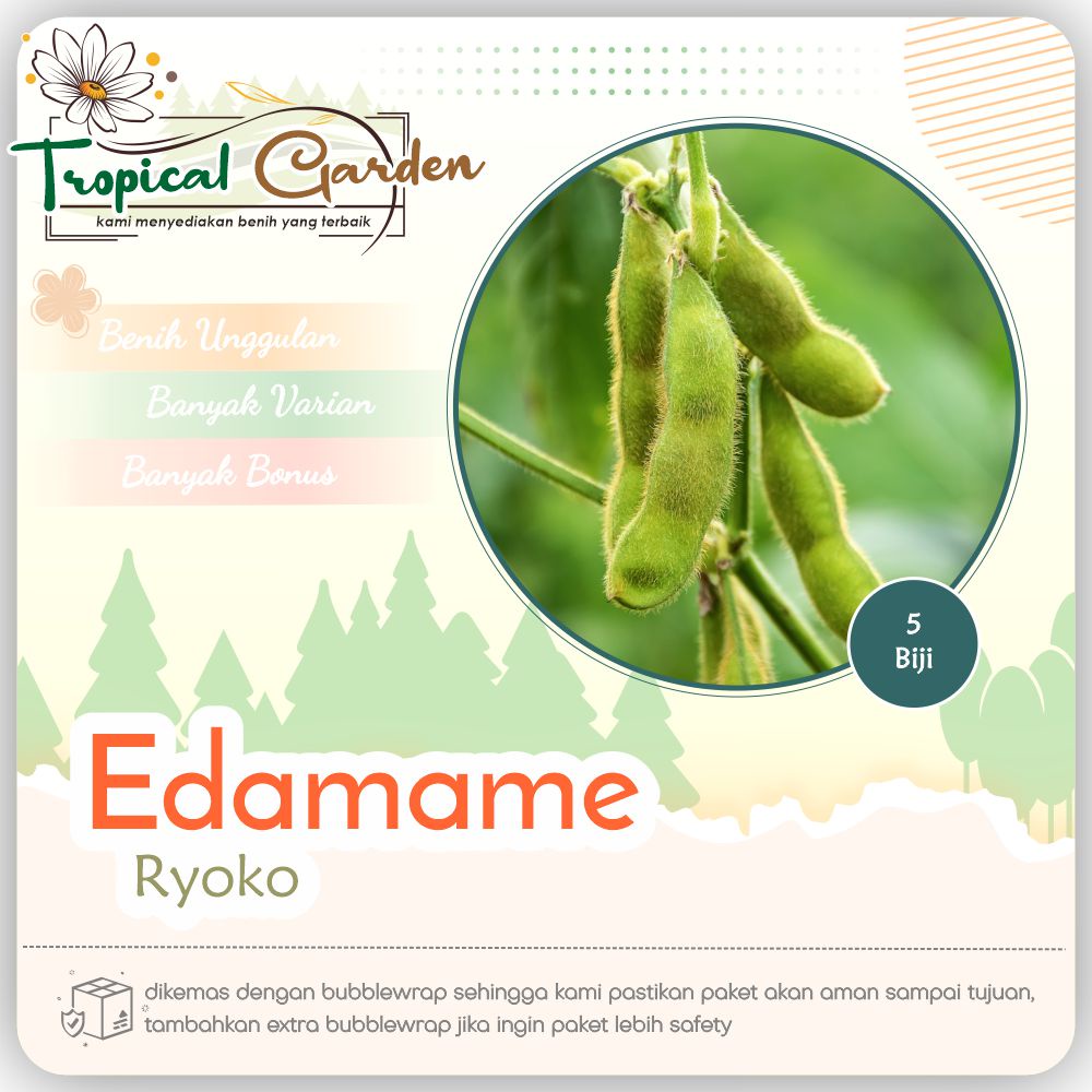 Jual Benih Edamame Biji Kacang Kedelai Jepang Super Unggul | Shopee ...