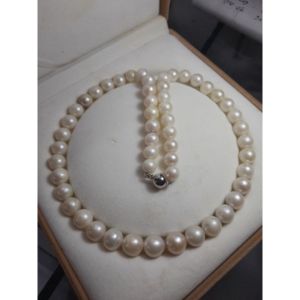 Jual kalung full mutiara laut putih | kalung full mutiara laut termurah ...