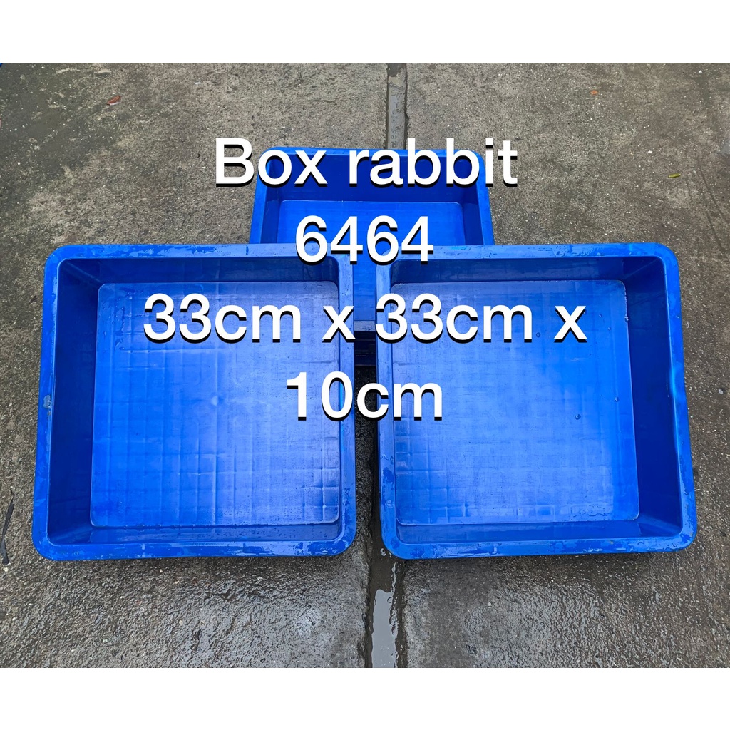 Jual Keranjang Rapat Box Magot Bak Ikan Cupang Box Rabbit 6464 Box ...