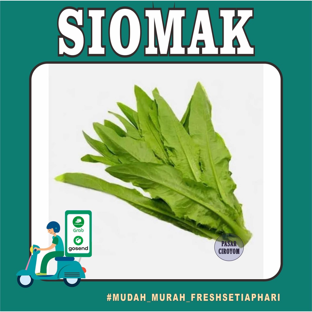 Jual SAYUR SIOMAK / SELADA WANGI FRESH MURAH BANDUNG | Shopee Indonesia