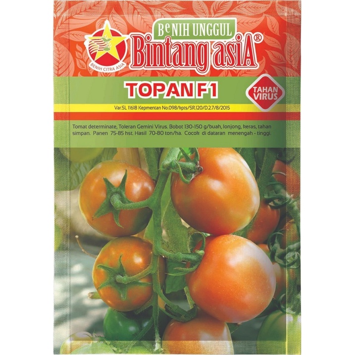 Jual Benih Tomat TOPAN F1 10 Gram - Reguler Pouch - Cap Bintang Asia ...