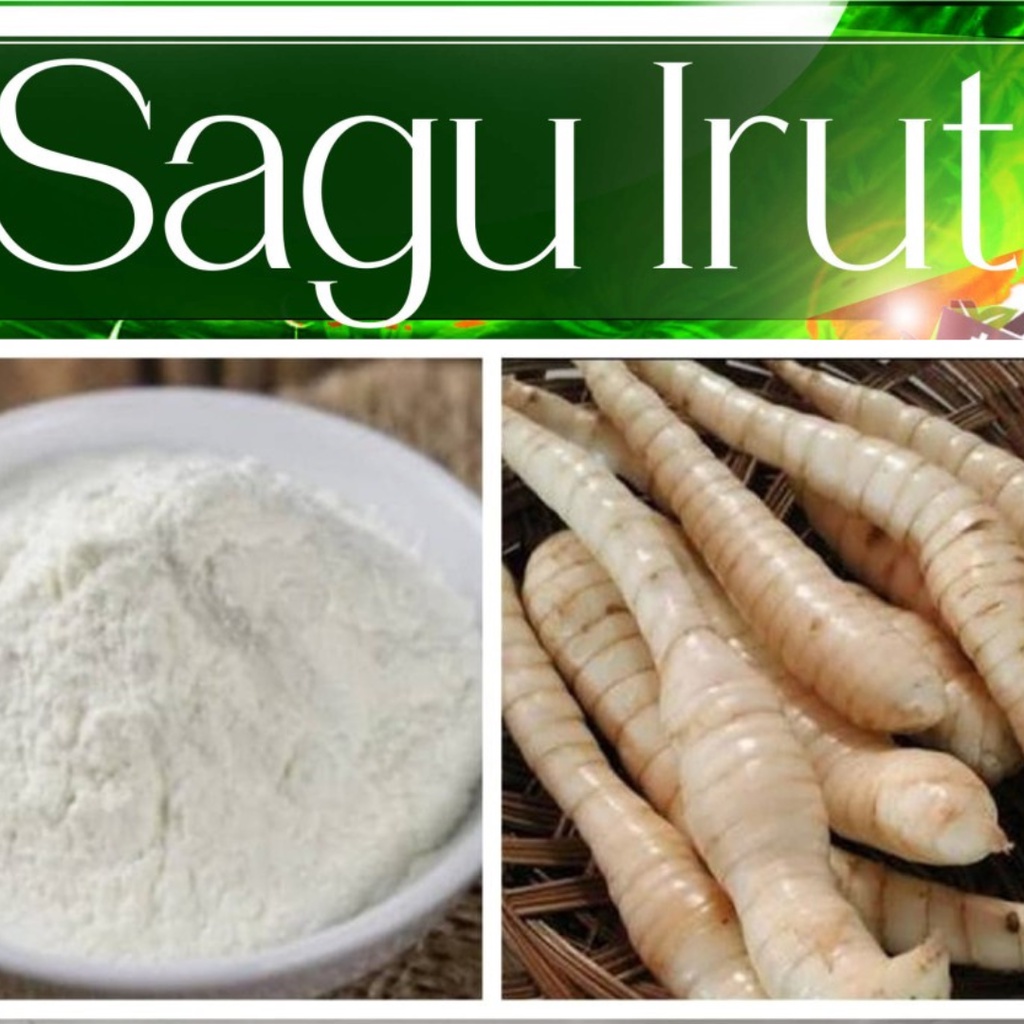 Jual tepung pati irut garut sagu garut angkrik untuk asam lambung magg ...