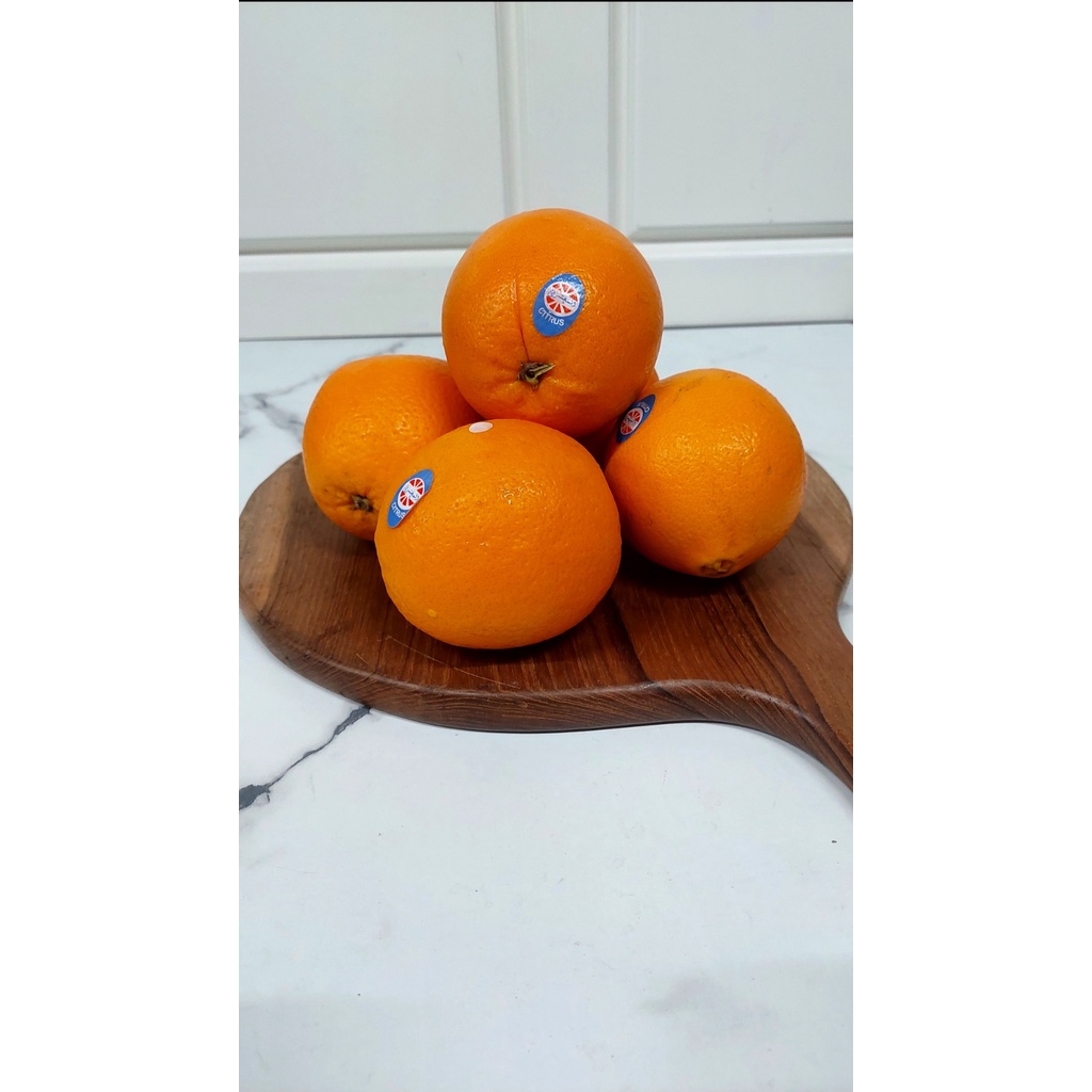 Jual Jeruk Navel Mesir Jumbo Shopee Indonesia