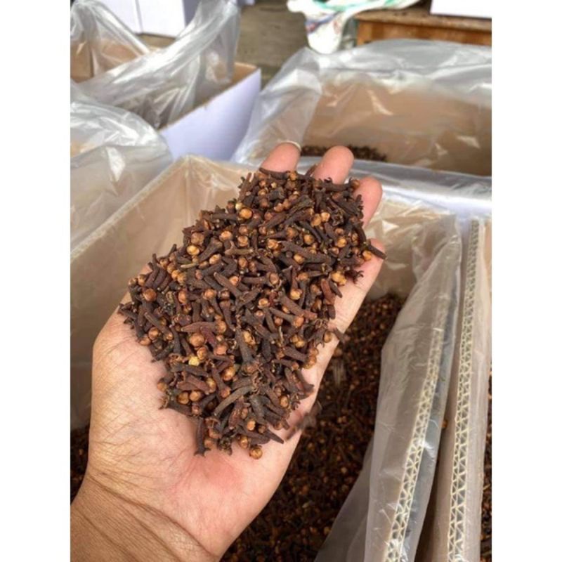 Jual cengkeh kering premium 100 % original 1kg | Shopee Indonesia