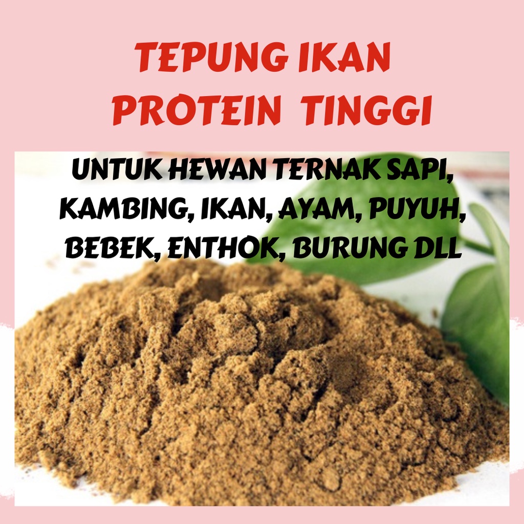 Jual 50KG TEPUNG IKAN PROTEIN TINGGI | Shopee Indonesia