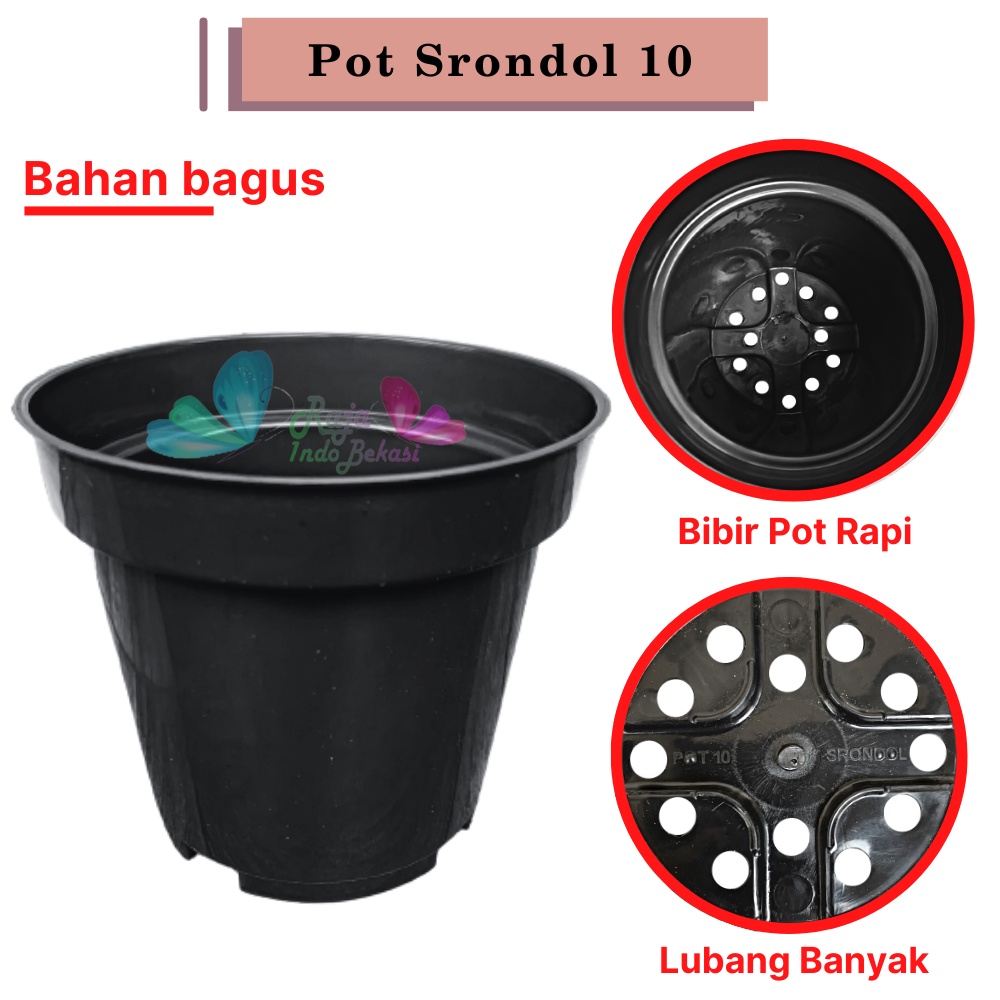 Jual Pot 10cm Hitam Murah - Pot Bulat Mini Kecil Bisa Untuk Vas Bunga ...