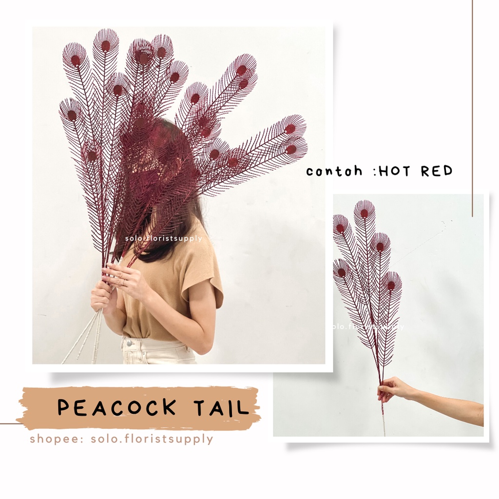 Jual PEACOCK TAIL LEAVES LEAF ARTICIAL BULU MERAK Daun Bulu Merak Emas ...