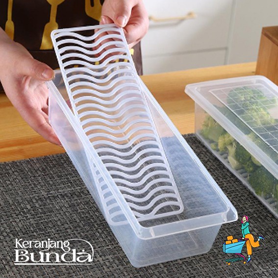 Jual Kotak Kontainer Makanan Kulkas | Food Storage Box Kotak ...