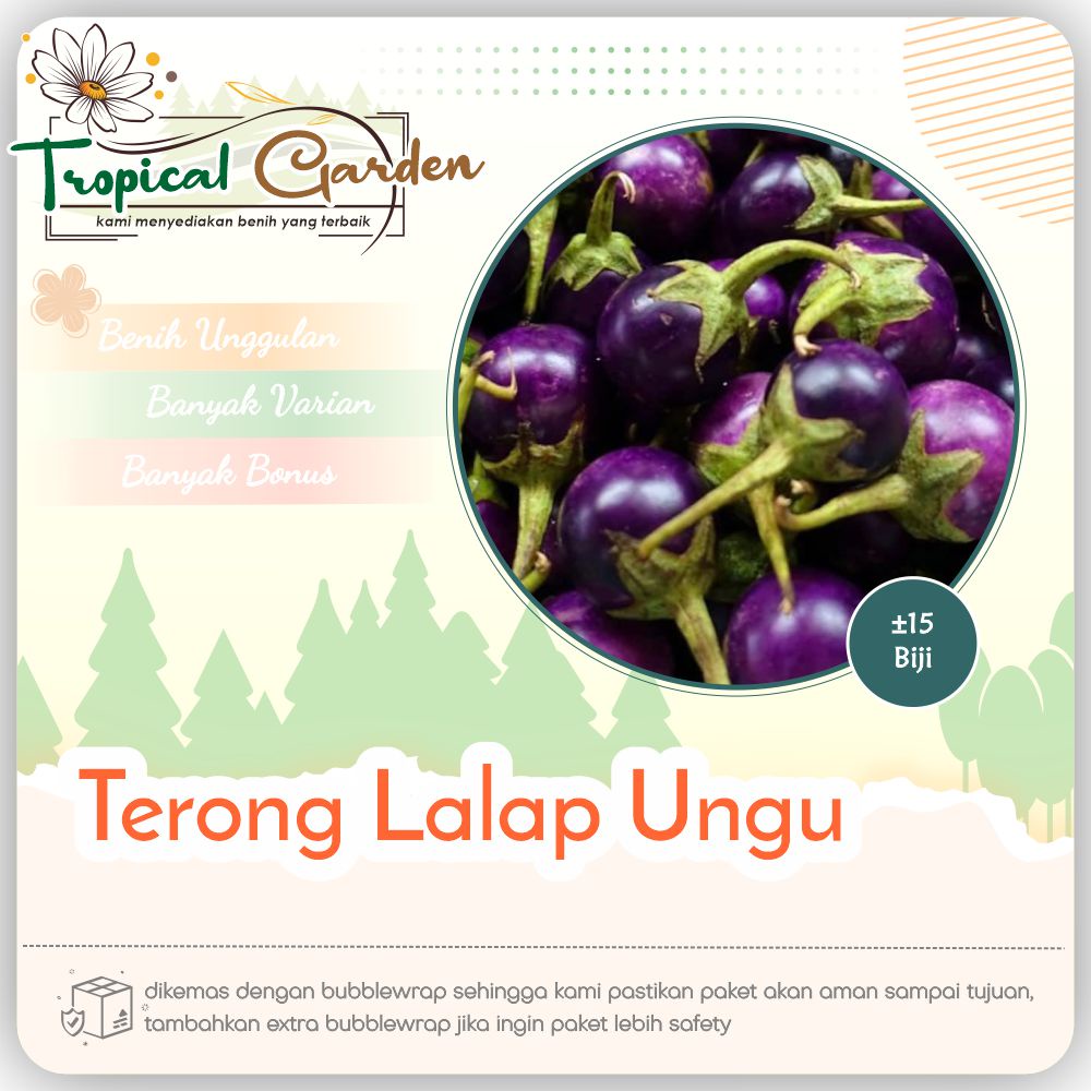 Jual Tropical Garden Benih Terong Lalap Ungu Bibit Terong Bulat Ungu ...