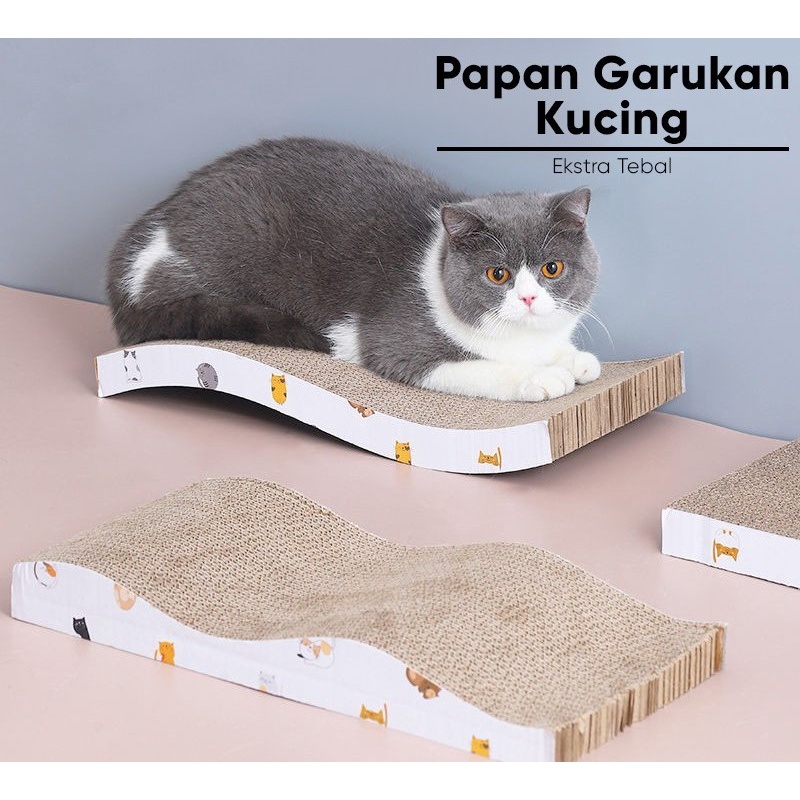 Jual Papan Garuk Kucing Mainan Cat Scratch Board Garukan Cakar Kuku ...