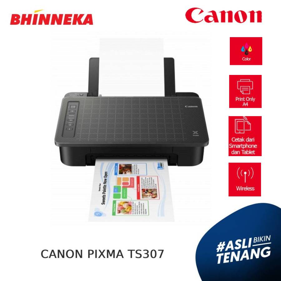 Jual CANON PIXMA TS307 | Shopee Indonesia